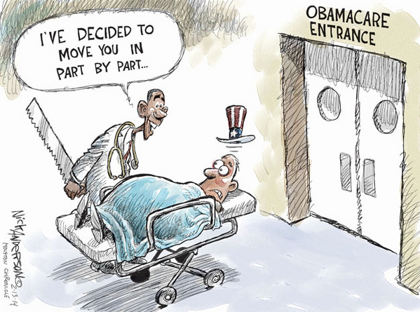 RealClearPolitics - Cartoons - Current Cartoon: 2014-02-13