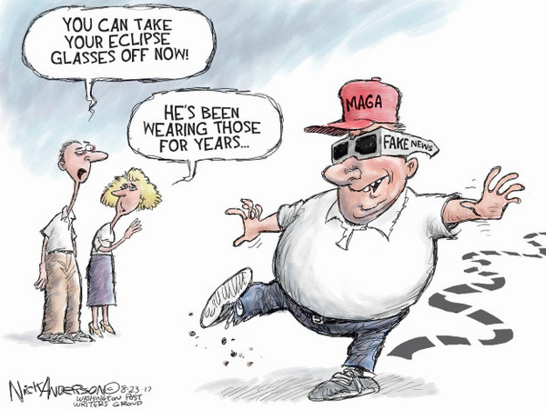 23rd Amendment Political Cartoons