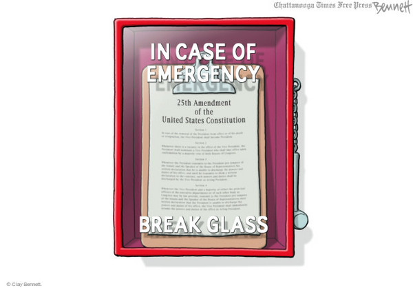 25th Amendment Cartoon