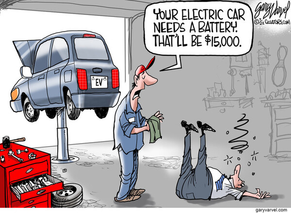 RealClearPolitics - Cartoons of the Week - Steve Breen for Jul 17, 2022 ...