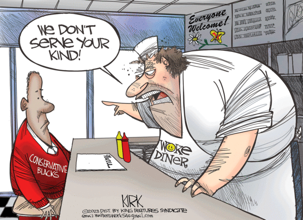 Conservative Political Cartoons Of The Week