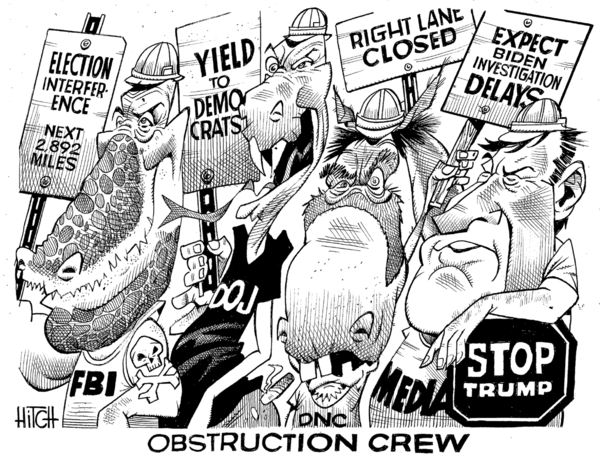 Representative Democracy Cartoons