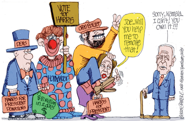 RealClearPolitics - Cartoons of the Week - Ed Gamble for 07/24/2024 ...