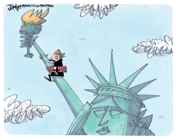 RealClearPolitics | Lee Judge for 11/20/2024 | Political Cartoons