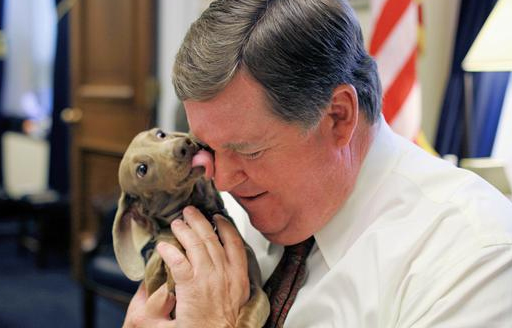 Rep. Ken Calvert, November 1993 | RealClearPolitics