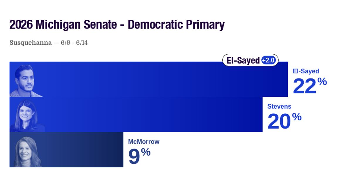2026 Michigan Senate - Democratic Primary | RealClearPolling